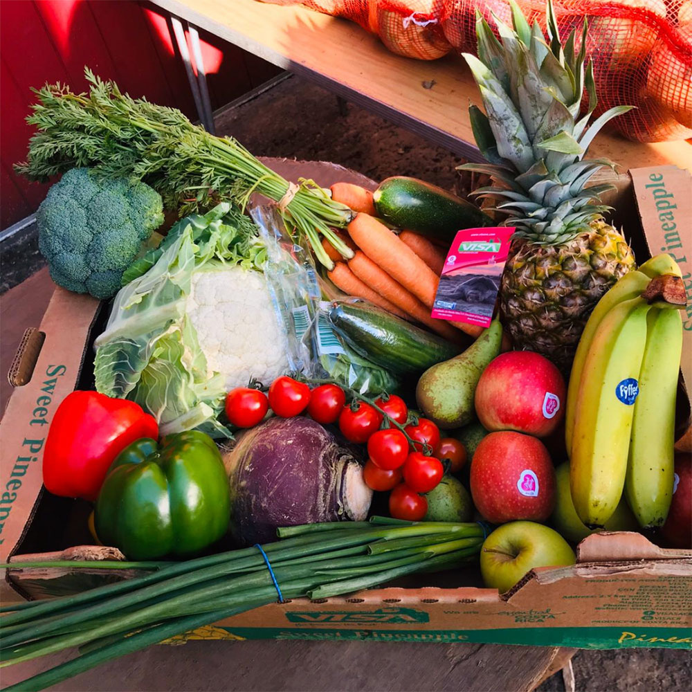 Medium Mixed Fruit and Veg Box - Market Fresh Belfast | Fruit & Veg ...